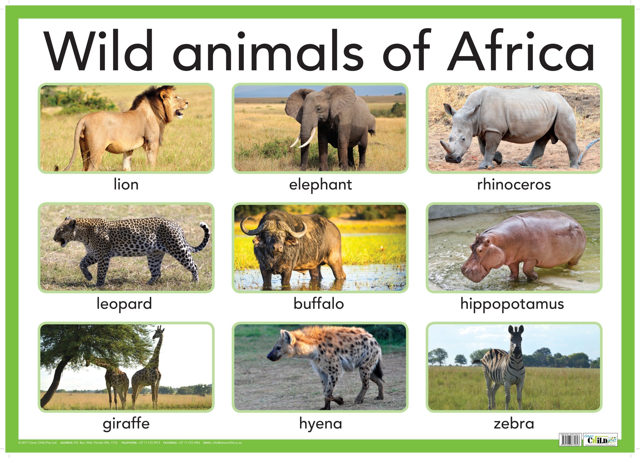 Wild animals of Africa – Clever Child